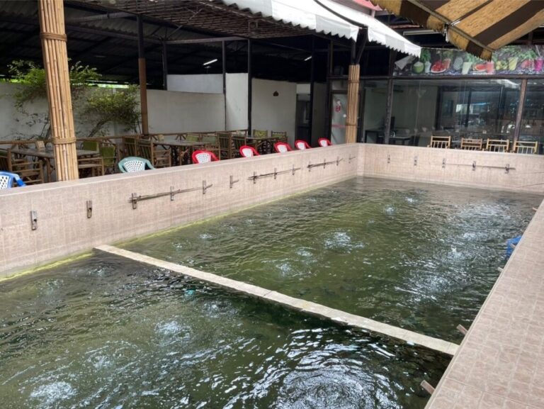 スクンビットから最寄りのエビ釣りその名も『えびの釣り堀』【バンコク郊外子連れおでかけ】